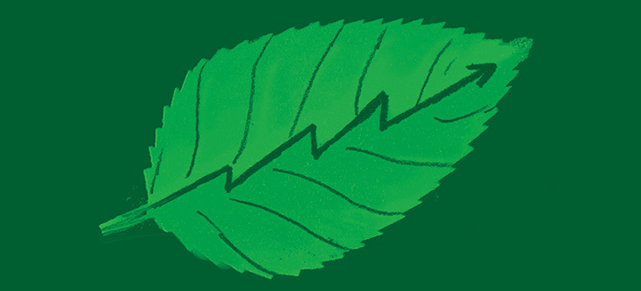 INFOGRAPHIC: Decarbonization | Corporate Knights