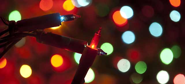 12 reasons for climate optimism this holiday season | Corporate Knights