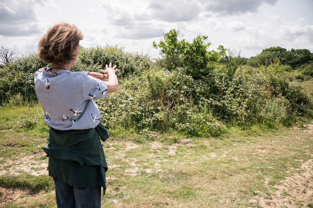 Rewilding farms is storing carbon and growing hope