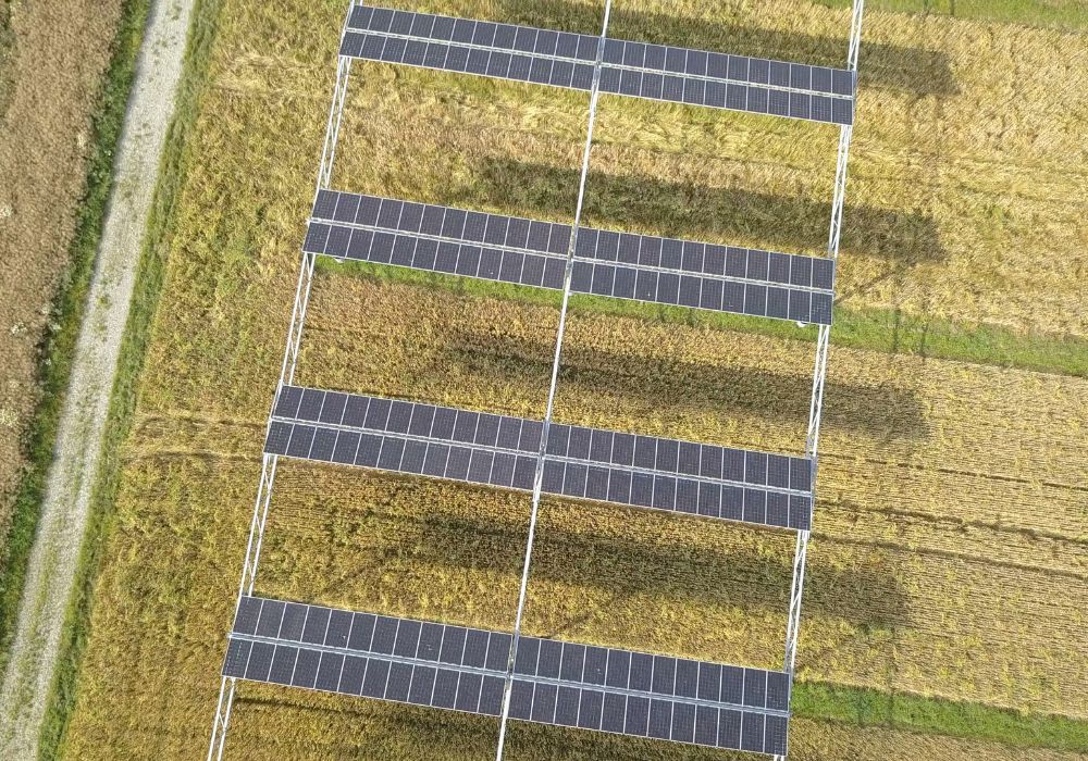 Agrivoltaic solar farms could launch a bipartisan energy revolution